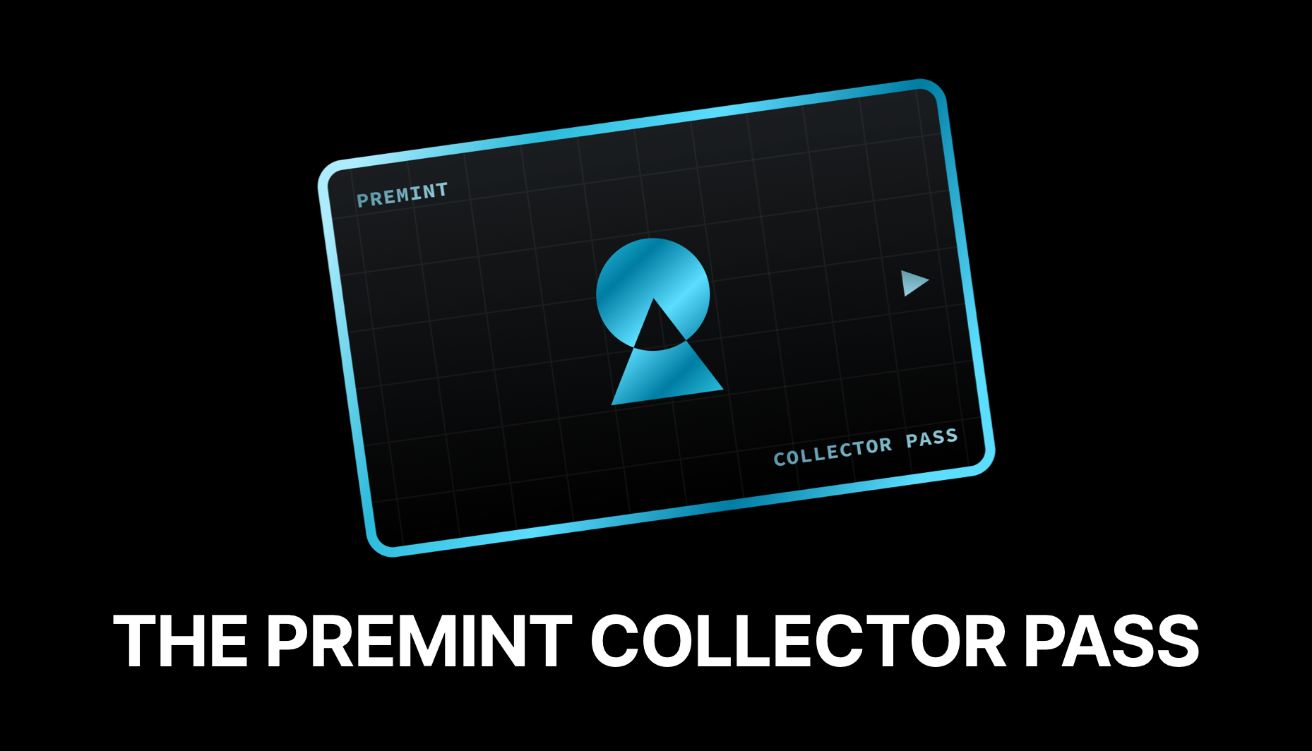 Build the perfect NFT access list | PREMINT